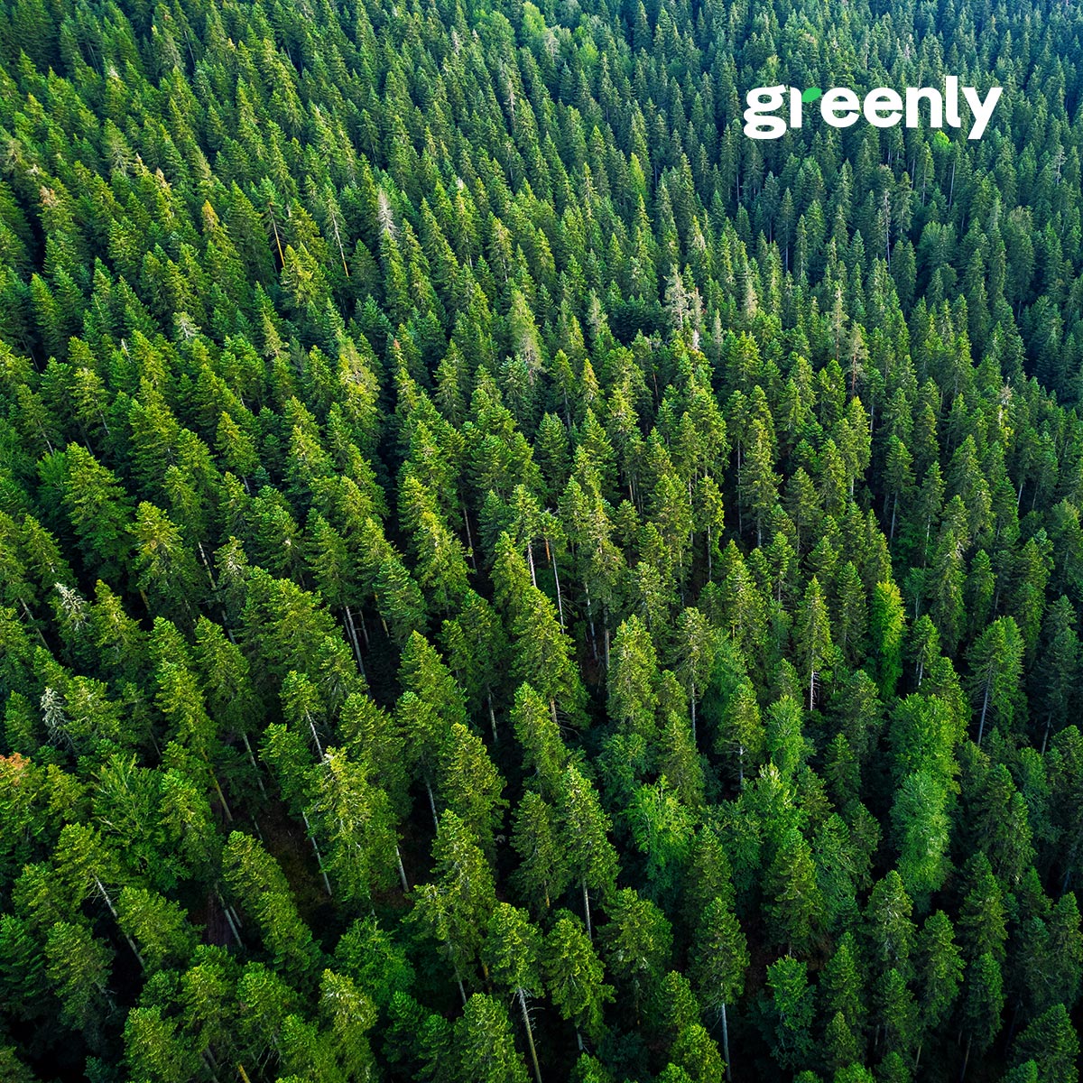 About us – Loop UK